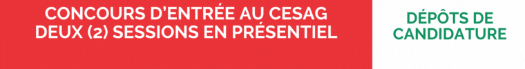 Centre Africain d'Etudes Supérieures en Gestion - CESAG
