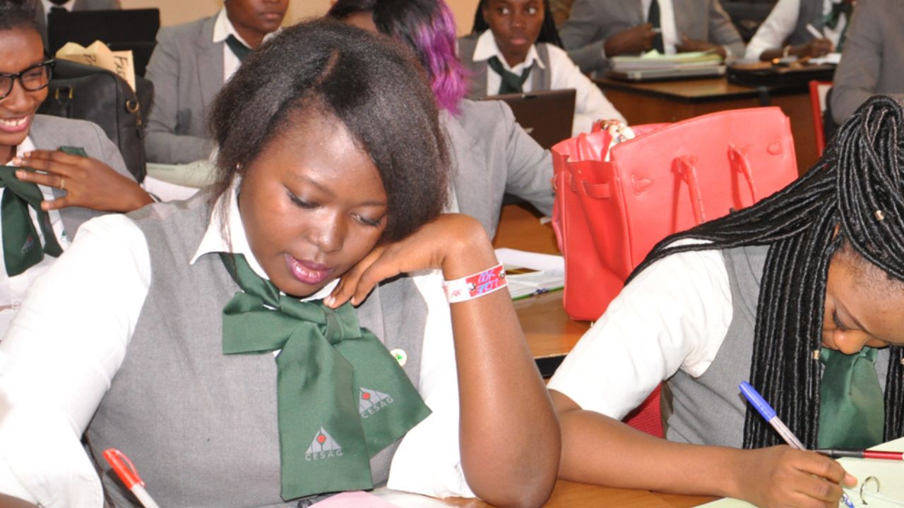 Centre Africain d'Etudes Supérieures en Gestion - CESAG